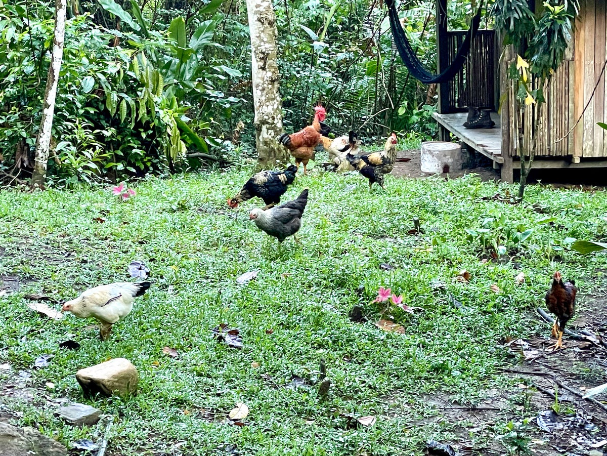 The Breakfast Club. | MLTSHP