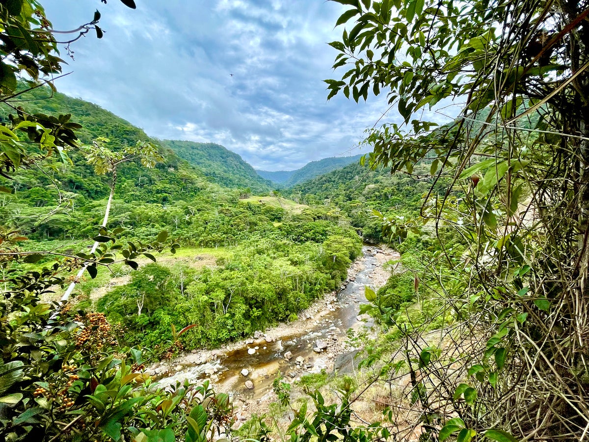 Up the river... | MLTSHP