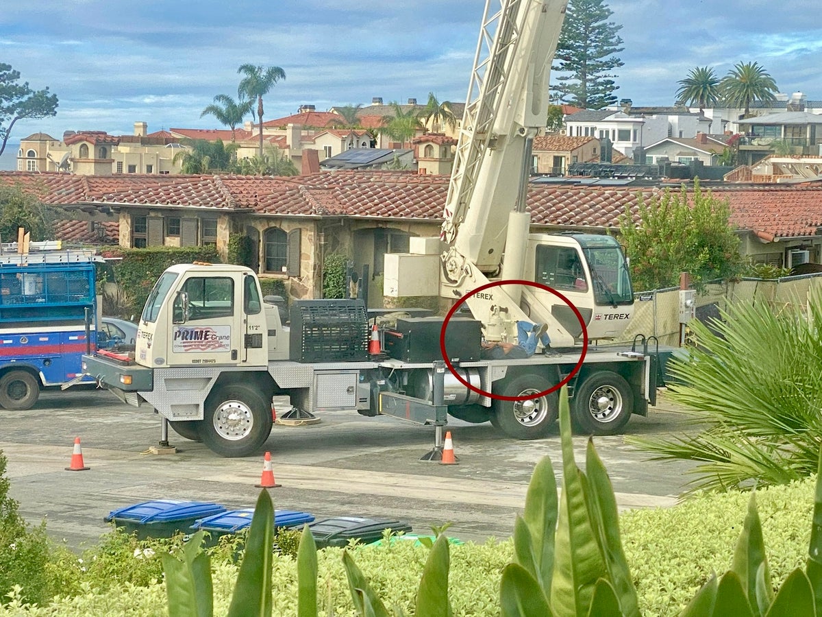 Napping or Lifting, It’s All the Same for Jake | MLTSHP