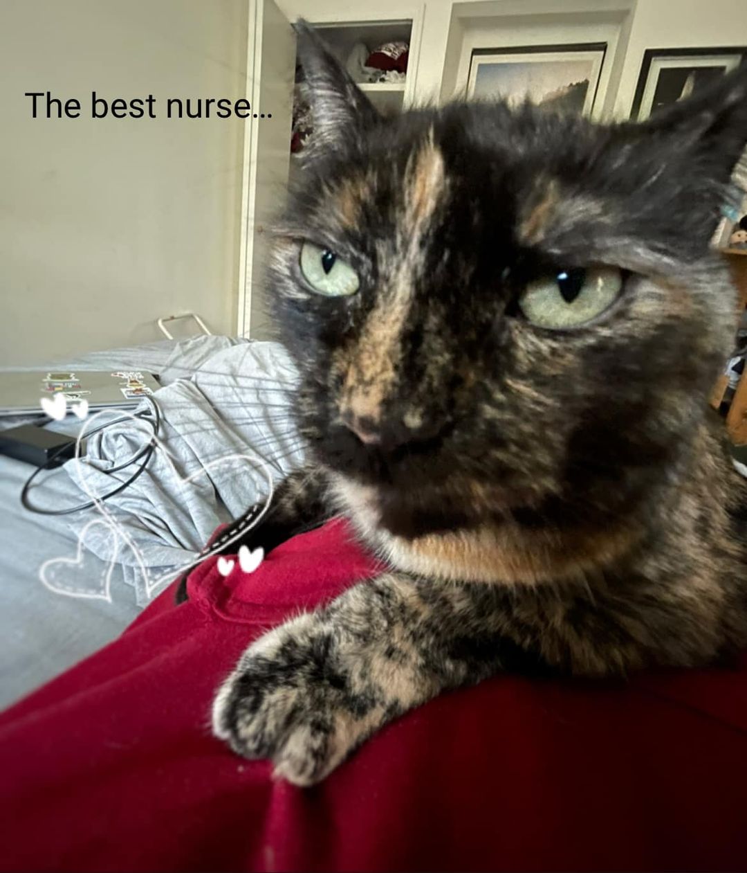 On a scale of 0 to Nurse Ratched | MLTSHP