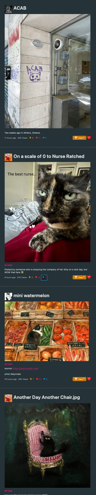 4 of a kind. | MLTSHP