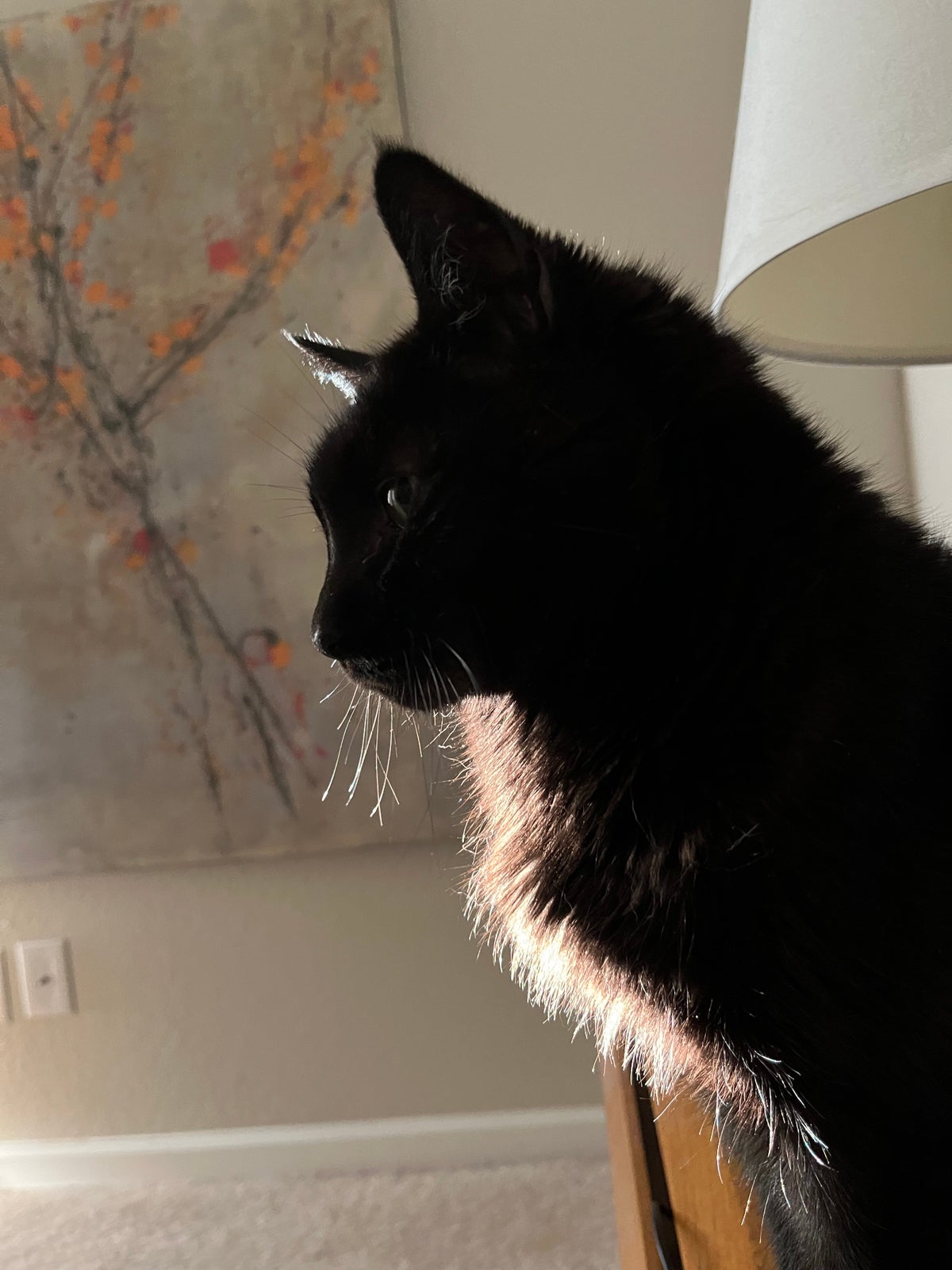 Johnnie Walker in the morning light | MLTSHP