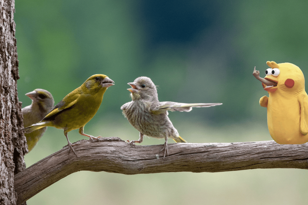 Are you going to do something about him? | MLTSHP