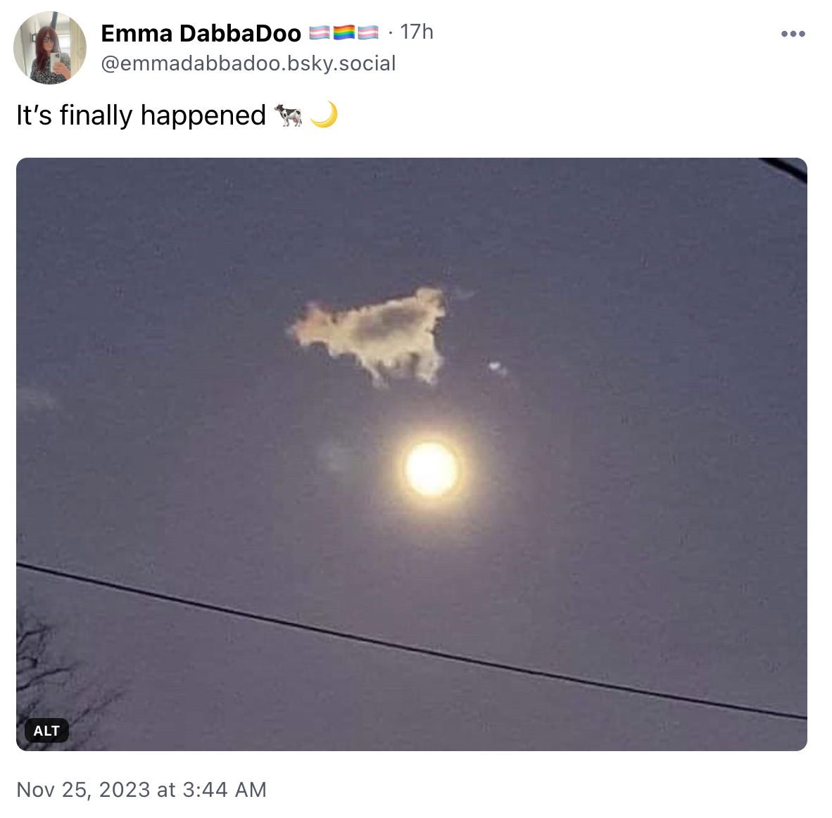 hey diddle diddle | MLTSHP