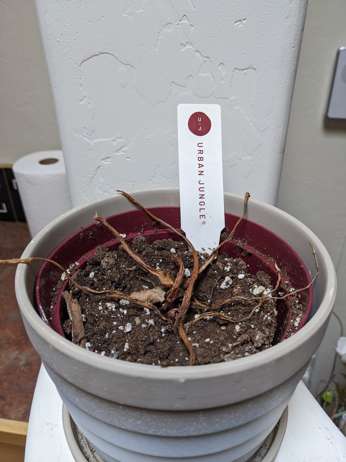 Welcome to the jungle | MLTSHP