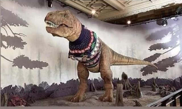 Natural History Museum, London | MLTSHP