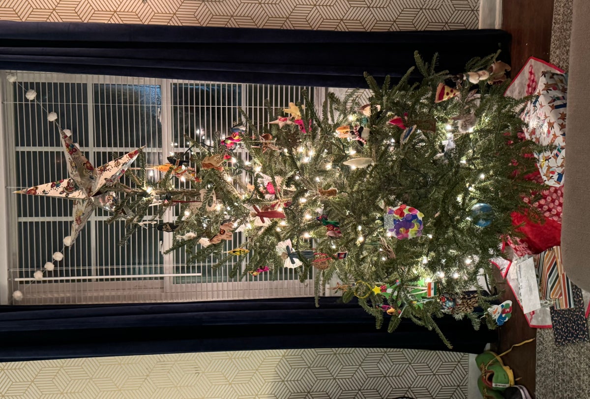 I ALSO want to lie down | MLTSHP