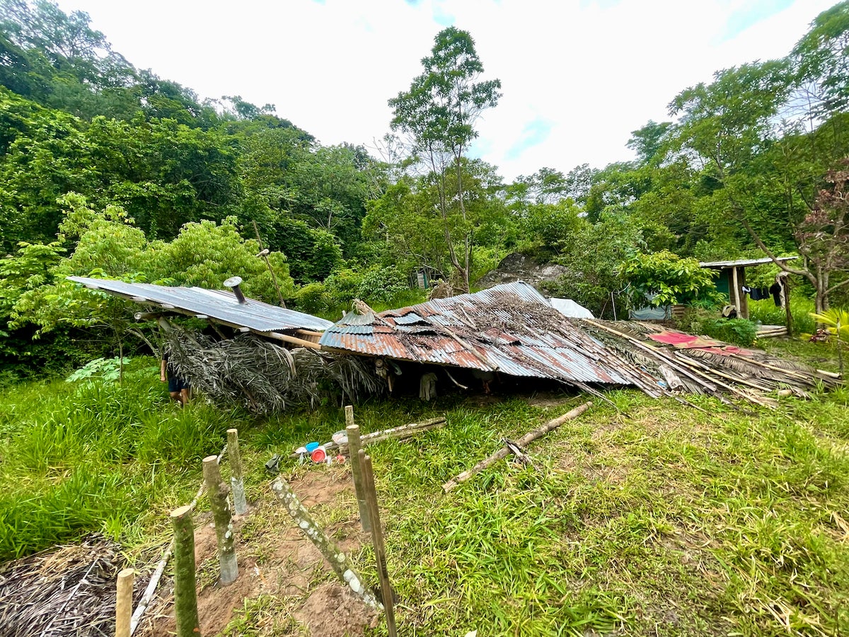 How it's going... | MLTSHP