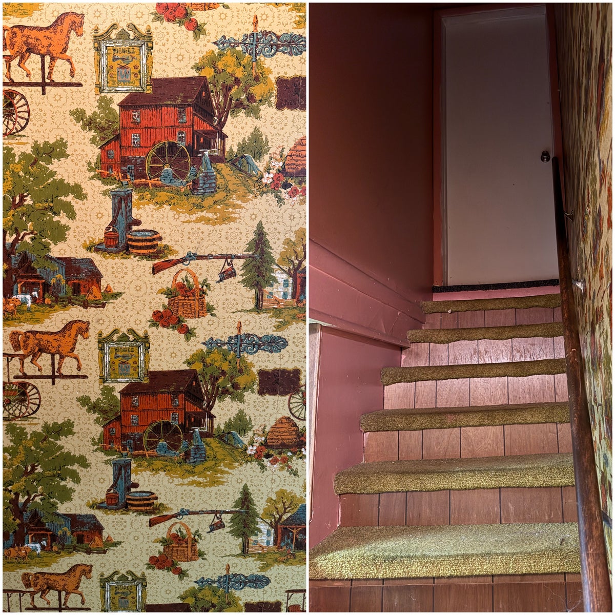 How YOU doin’? (Parents’ basement edition) | MLTSHP