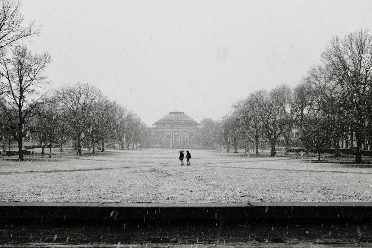 winter walk, 12-28-23 | MLTSHP