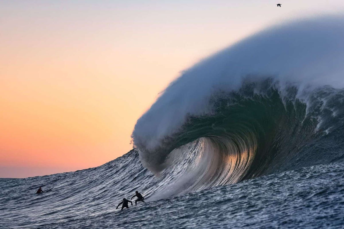 Surf Cali Evening | MLTSHP