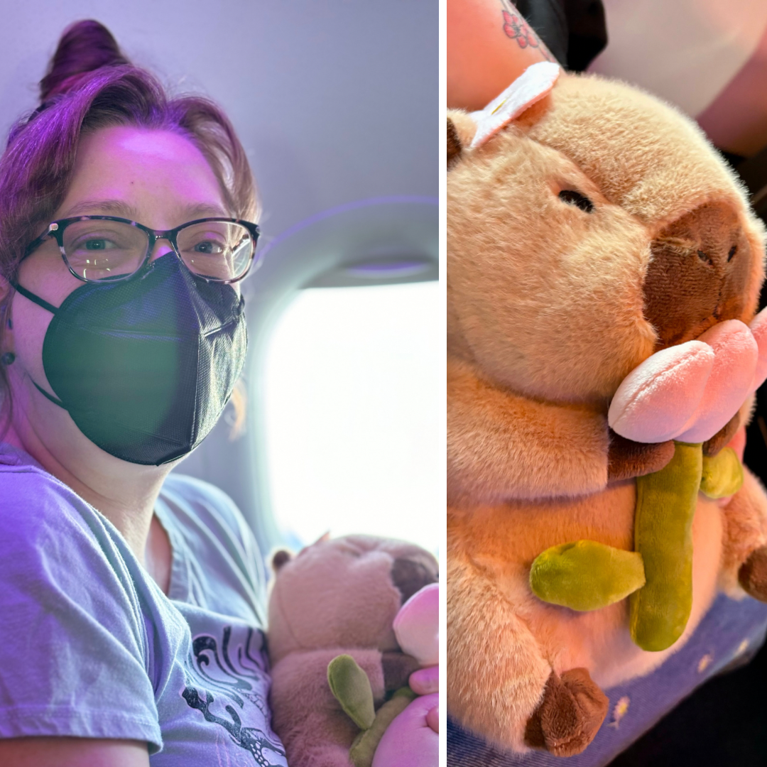 Annual Kona HI Trip | MLTSHP