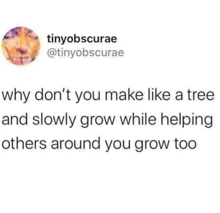 Don't Leave | MLTSHP