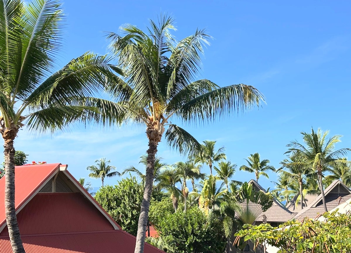 not a bad view | MLTSHP