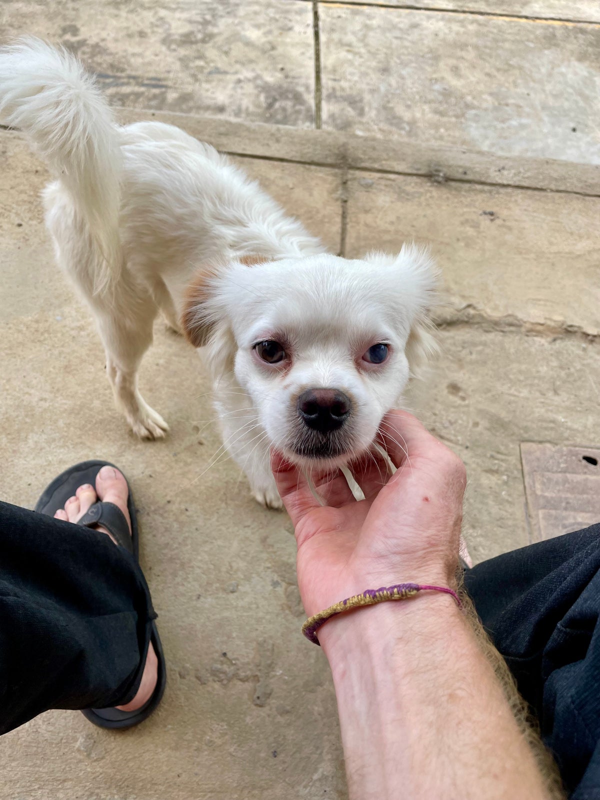 New friend. | MLTSHP