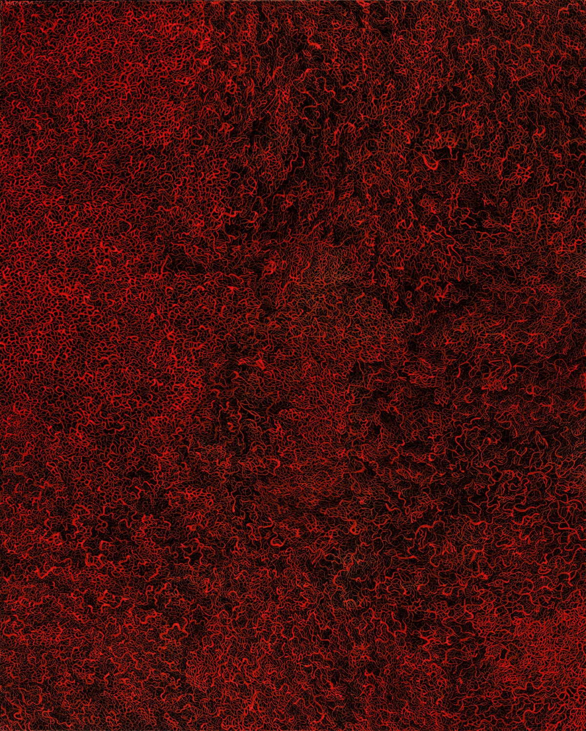 The sea in the evening glow (Facing the imminent death) | MLTSHP