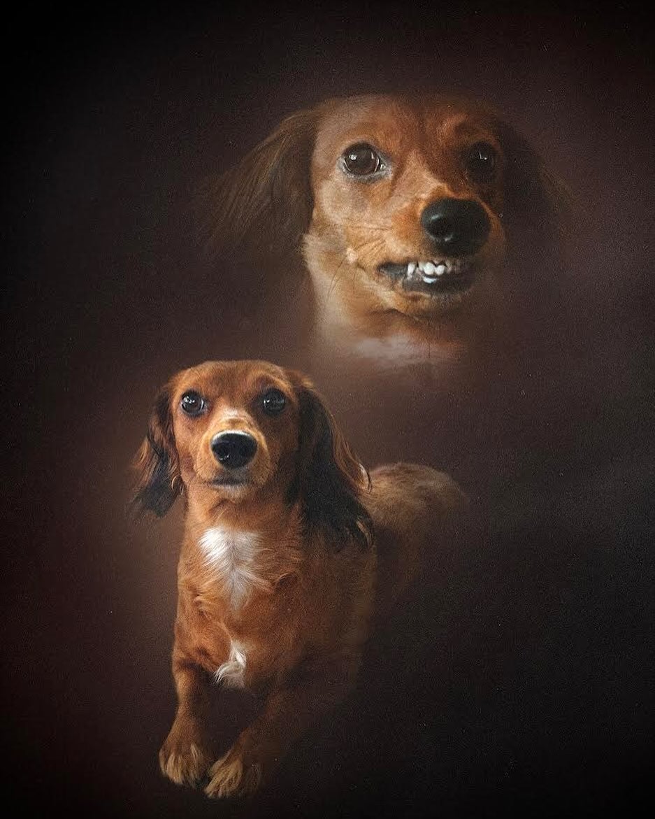 Approving your pull request | MLTSHP