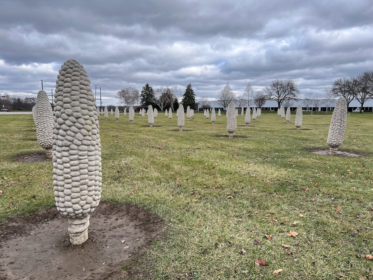 Cornhenge, Dublin Ohio | MLTSHP