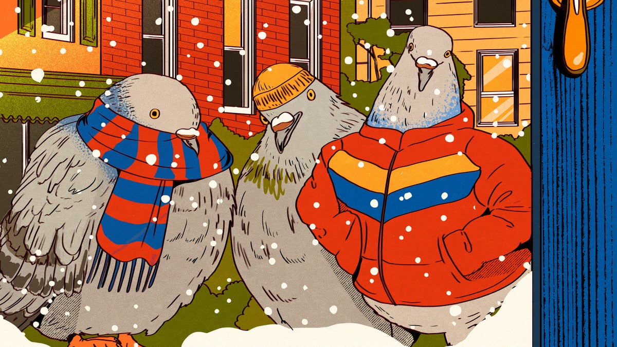 mad brick outside | MLTSHP