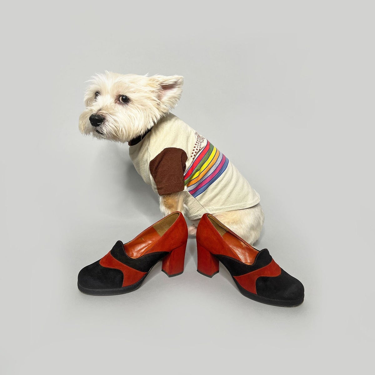 Etsy Vintage Shoes for sale - but the dog's look is priceless | MLTSHP