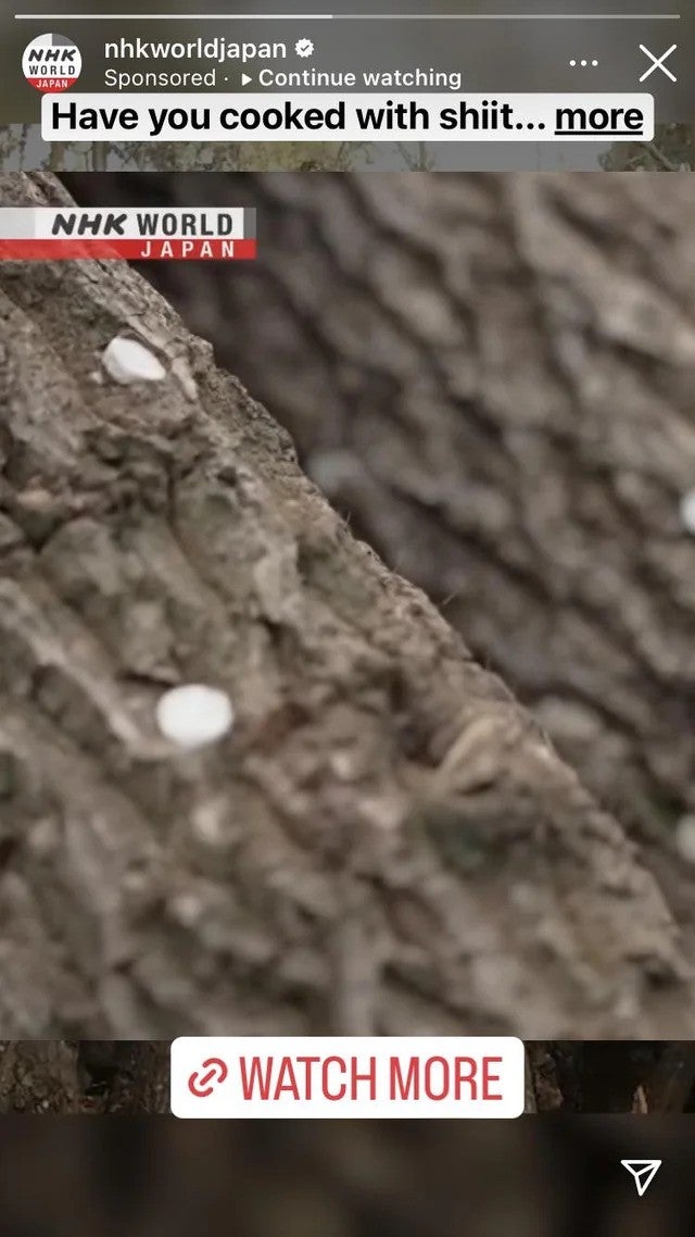 Yes. Yes I have. | MLTSHP