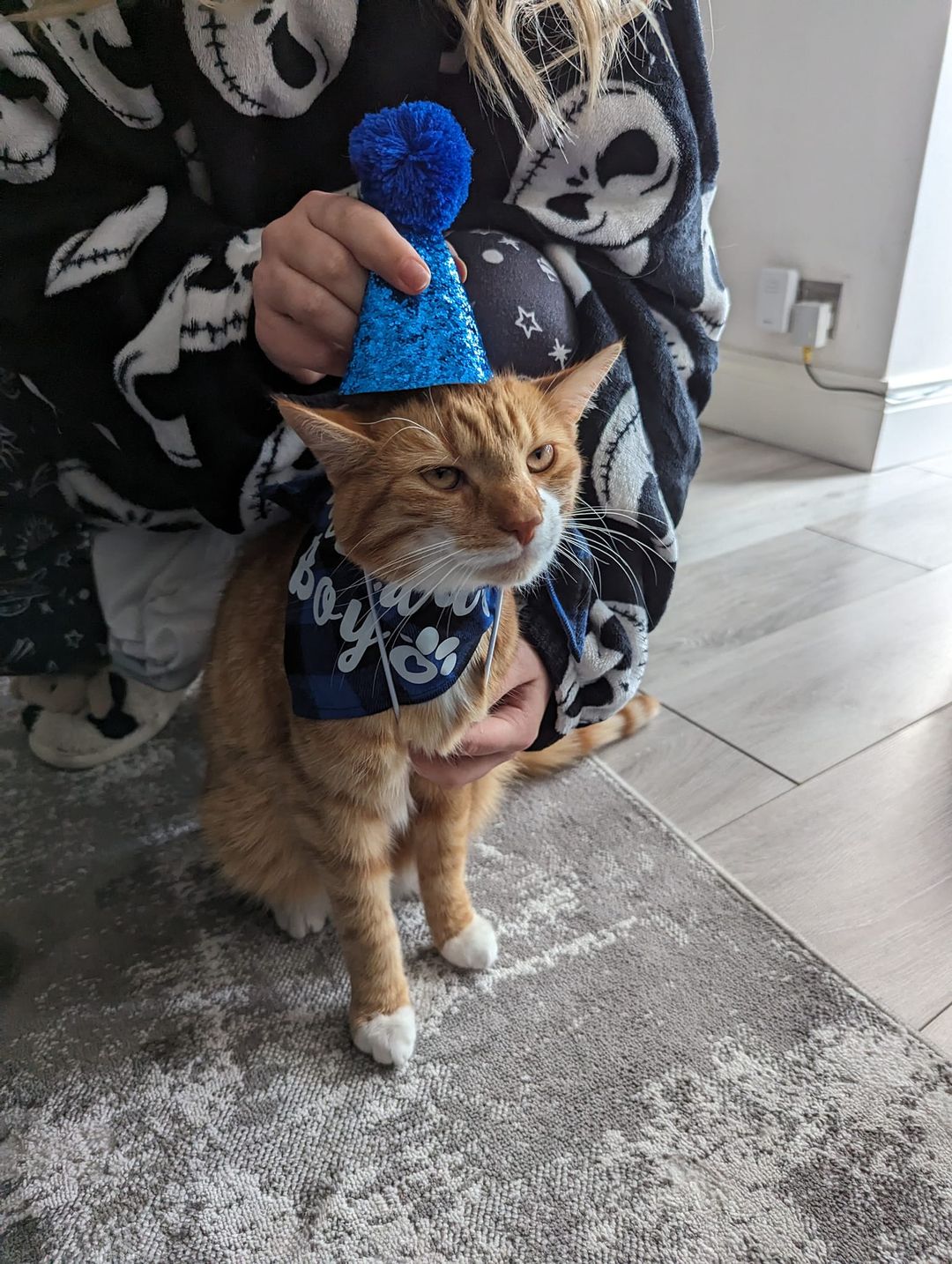 The Birthday Boy | MLTSHP