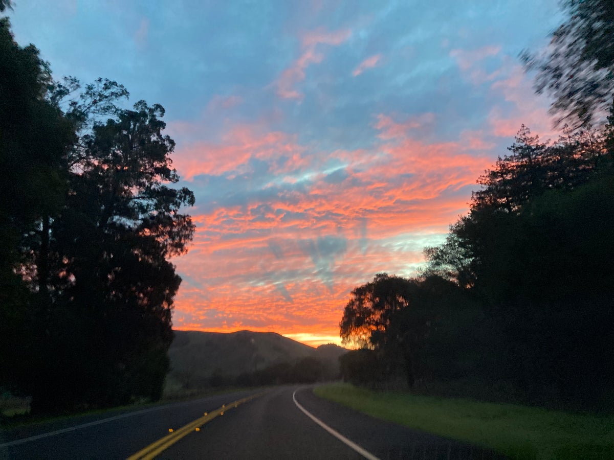 I know I shouldn't photo while driving | MLTSHP