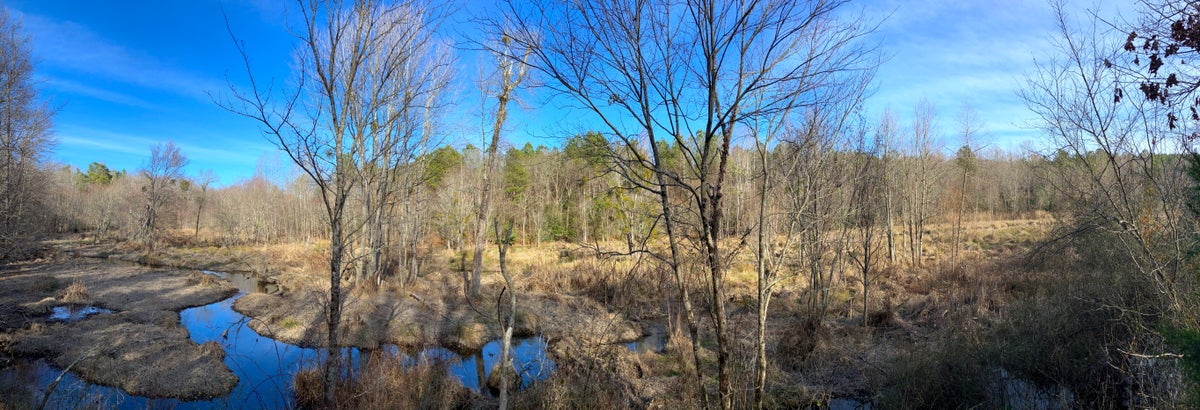 Return to Turnipseed | MLTSHP