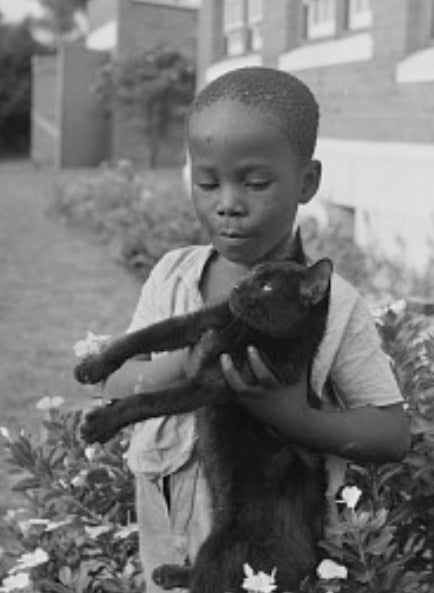 Boy with Cat, 1949 | MLTSHP