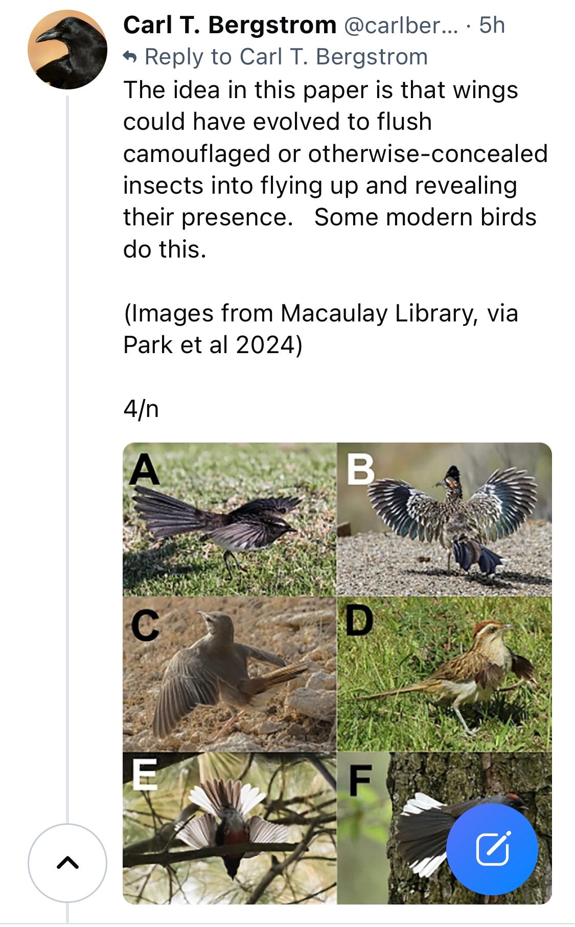 How It Started | MLTSHP