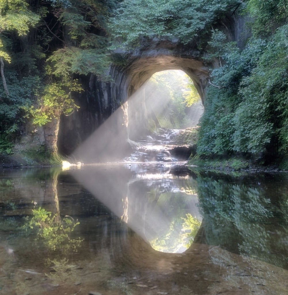 Just nature being nature | MLTSHP