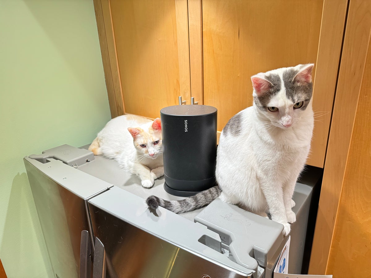 No, we’re not doing anything wrong up here | MLTSHP