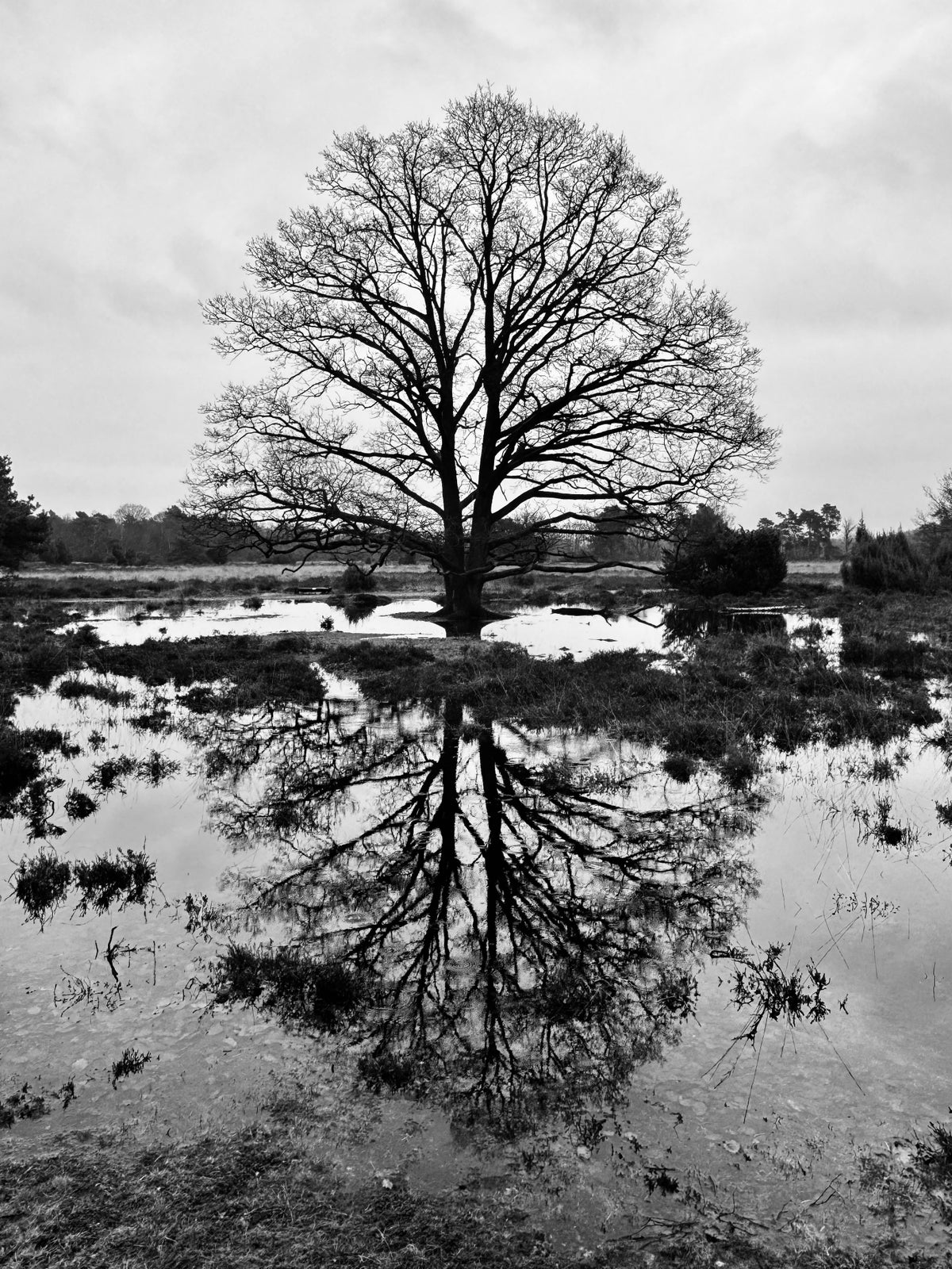 it’s a wet winter | MLTSHP