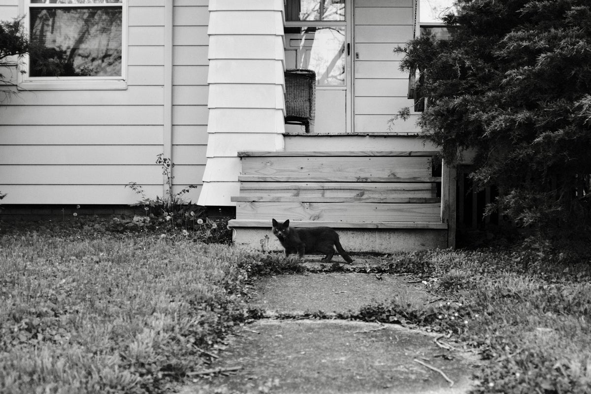 may your monday be blessed by a li'l shadow goblin | MLTSHP