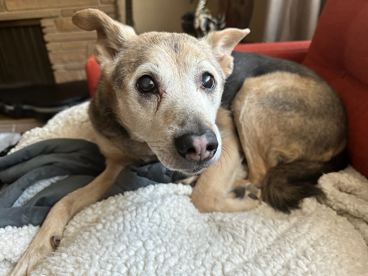 How it's going. | MLTSHP