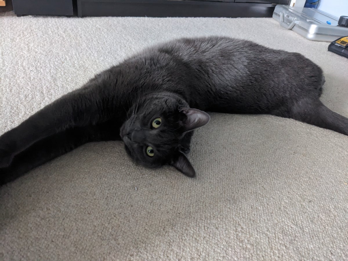 The Face of a Villain | MLTSHP