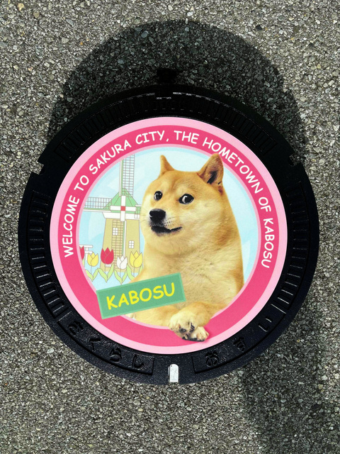 Kabosu, the Shiba inu made famous by the Doge meme, is getting its own ...