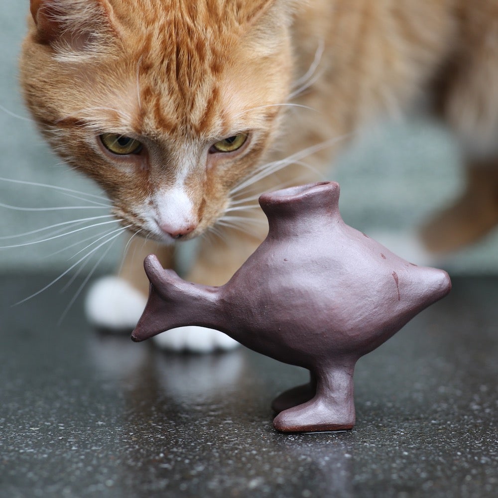 Æthelred helps me take a photo | MLTSHP