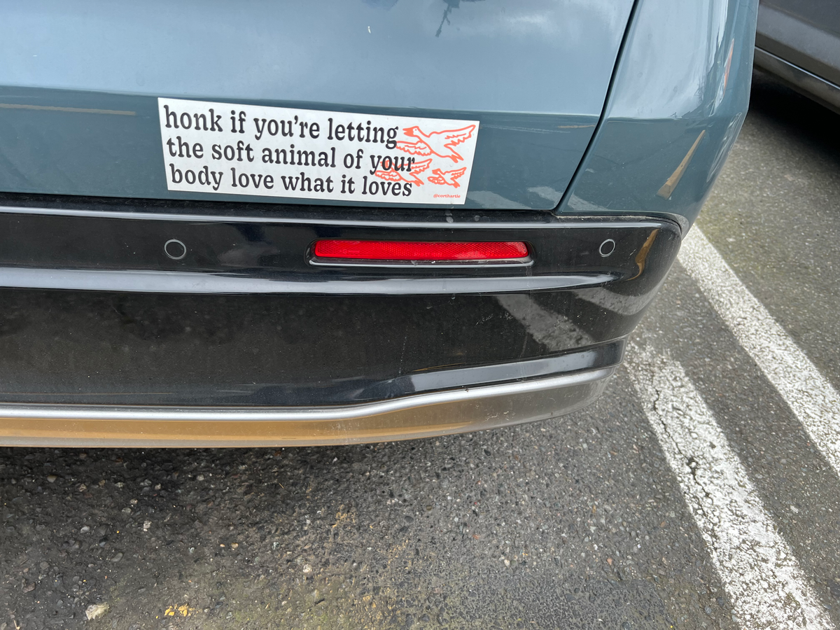 Mary Oliver Bumper Sticker | MLTSHP