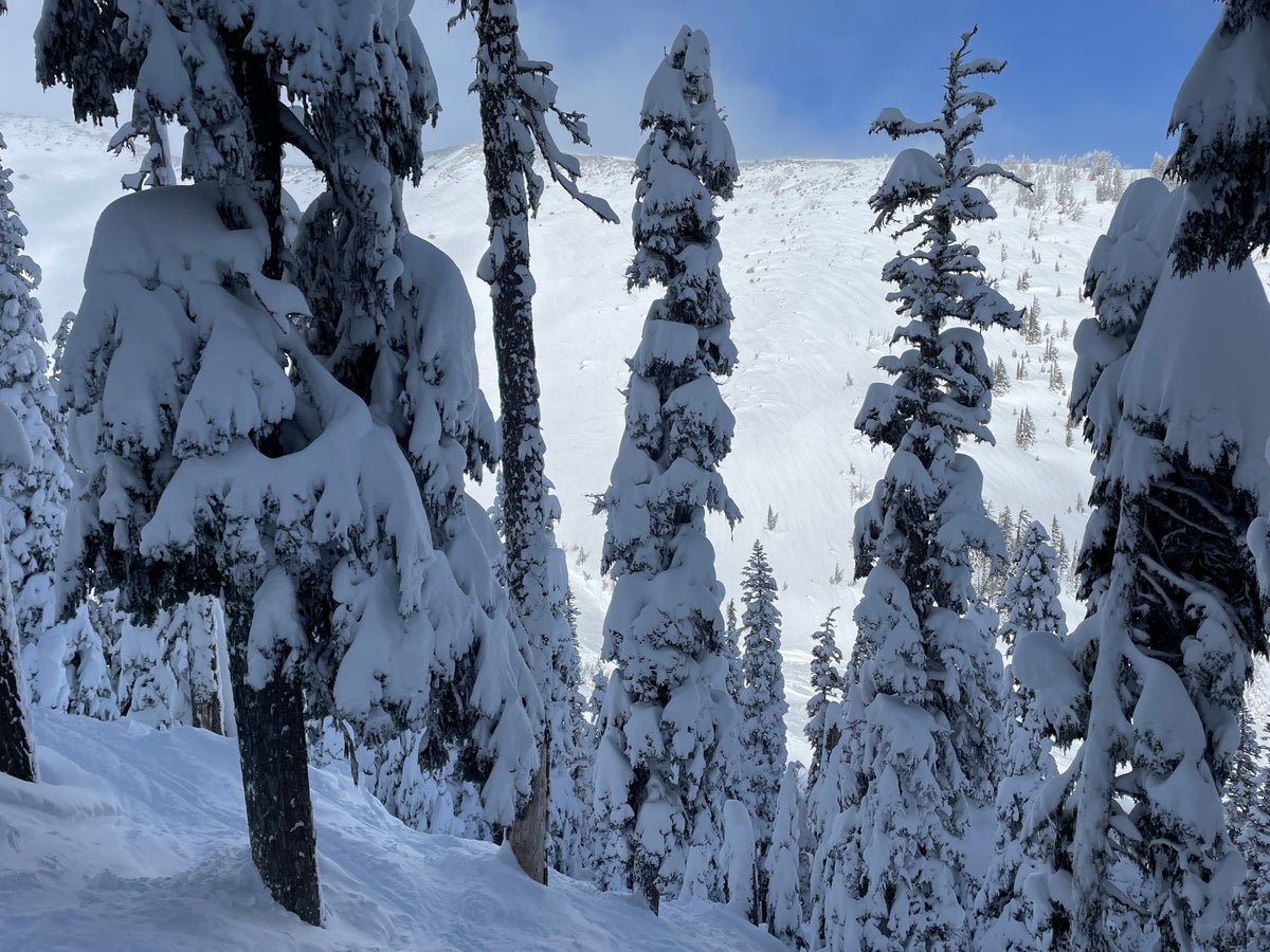 Brief bit of sun | MLTSHP