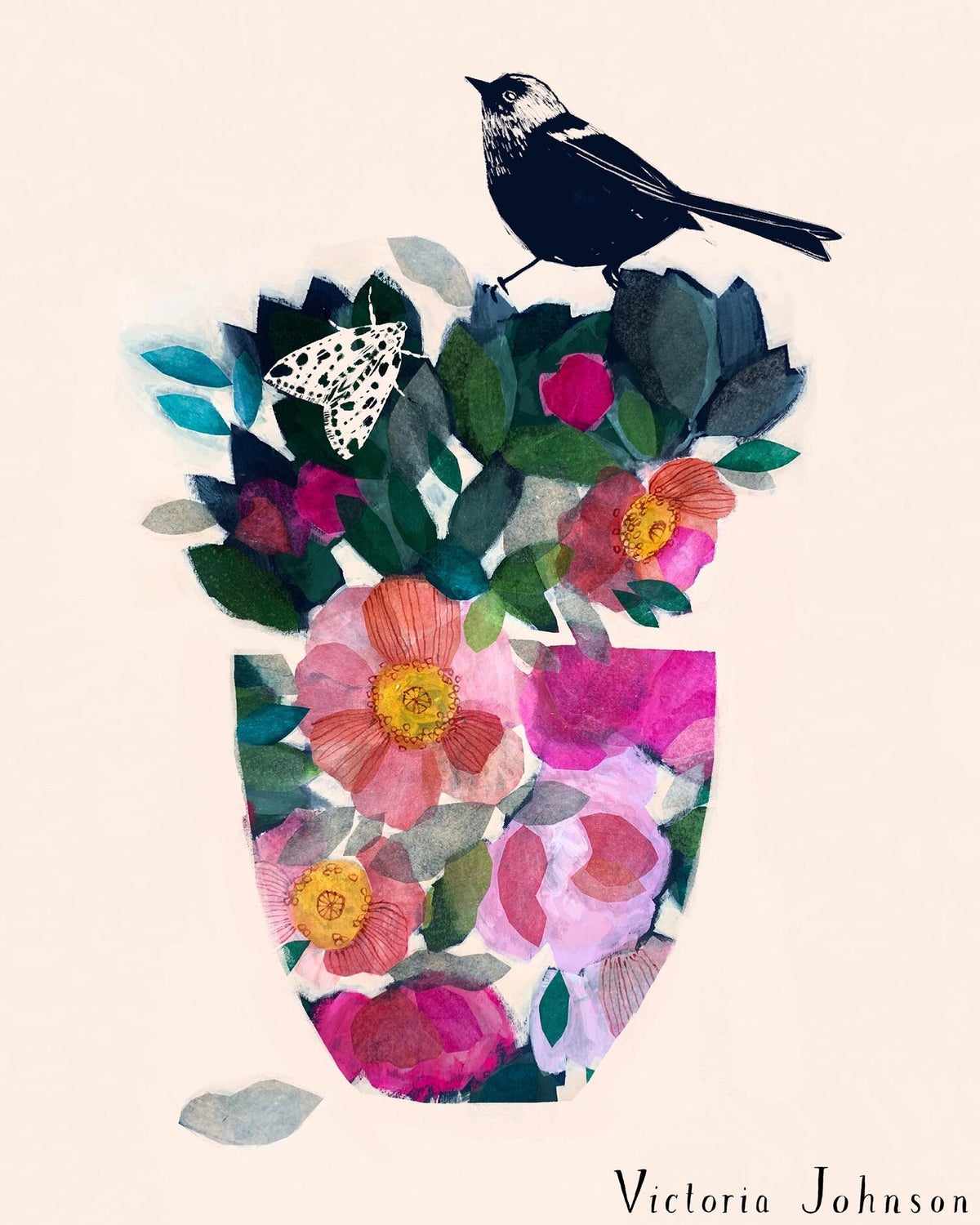 Sofia | Victoria Johnson | MLTSHP