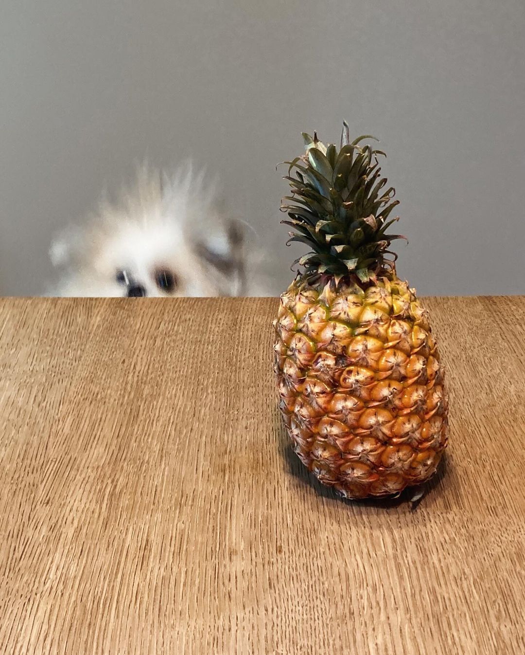 This guys here | MLTSHP