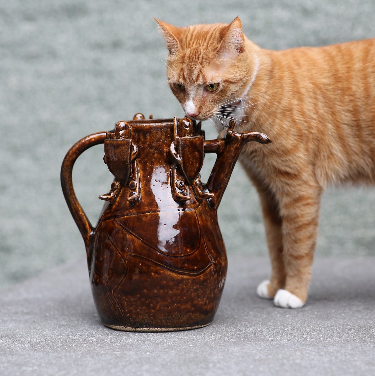 Æthelred helps me with a photo again | MLTSHP