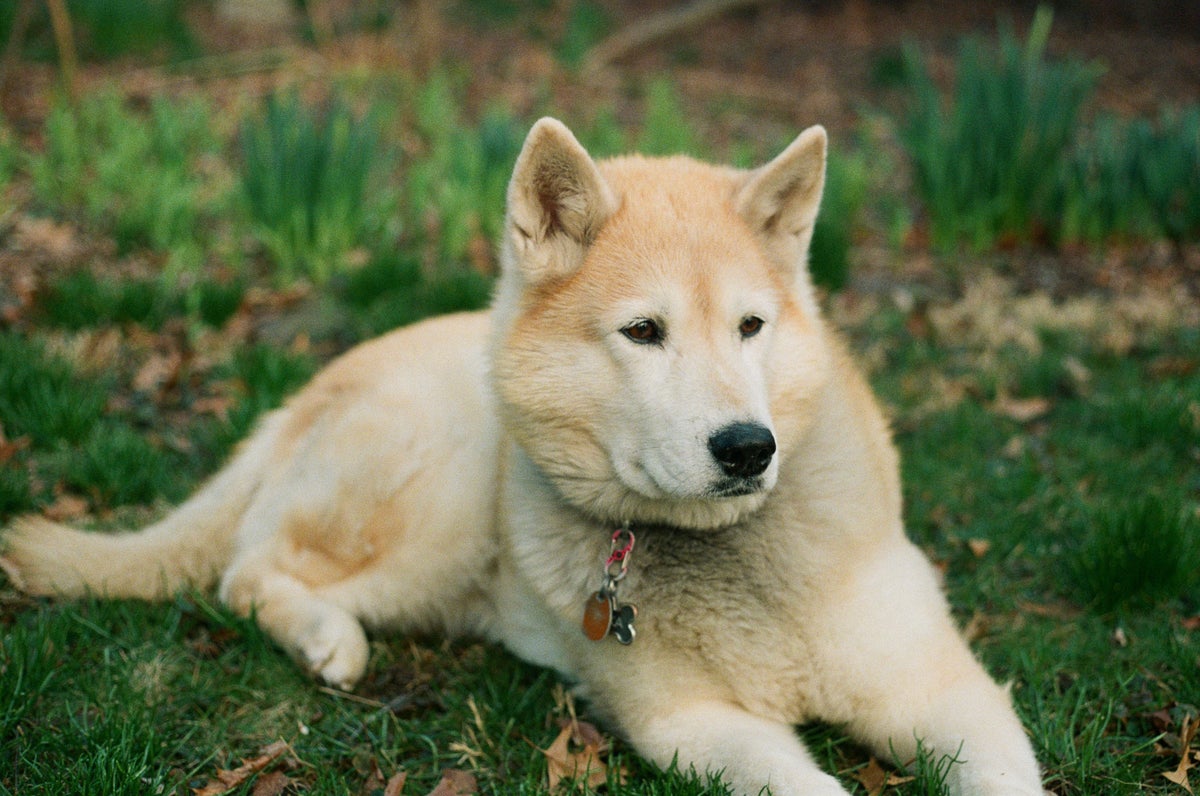 update: camera works! | MLTSHP