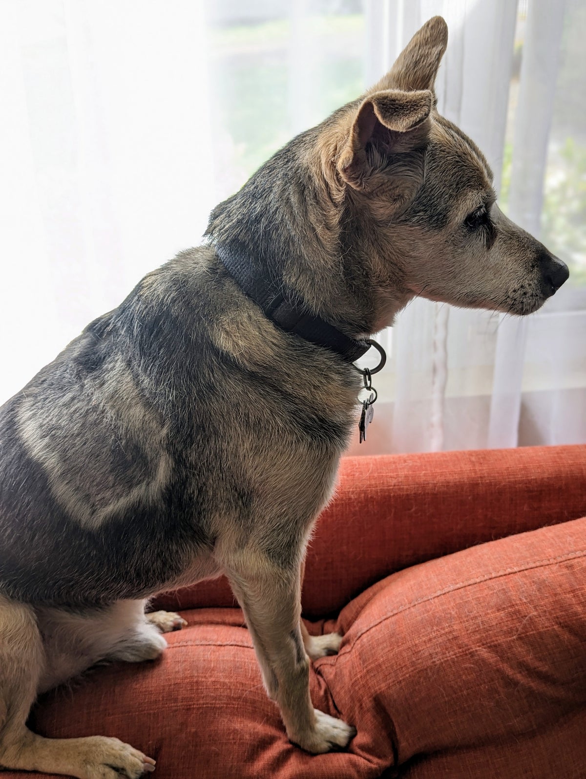 Stitches Out! | MLTSHP