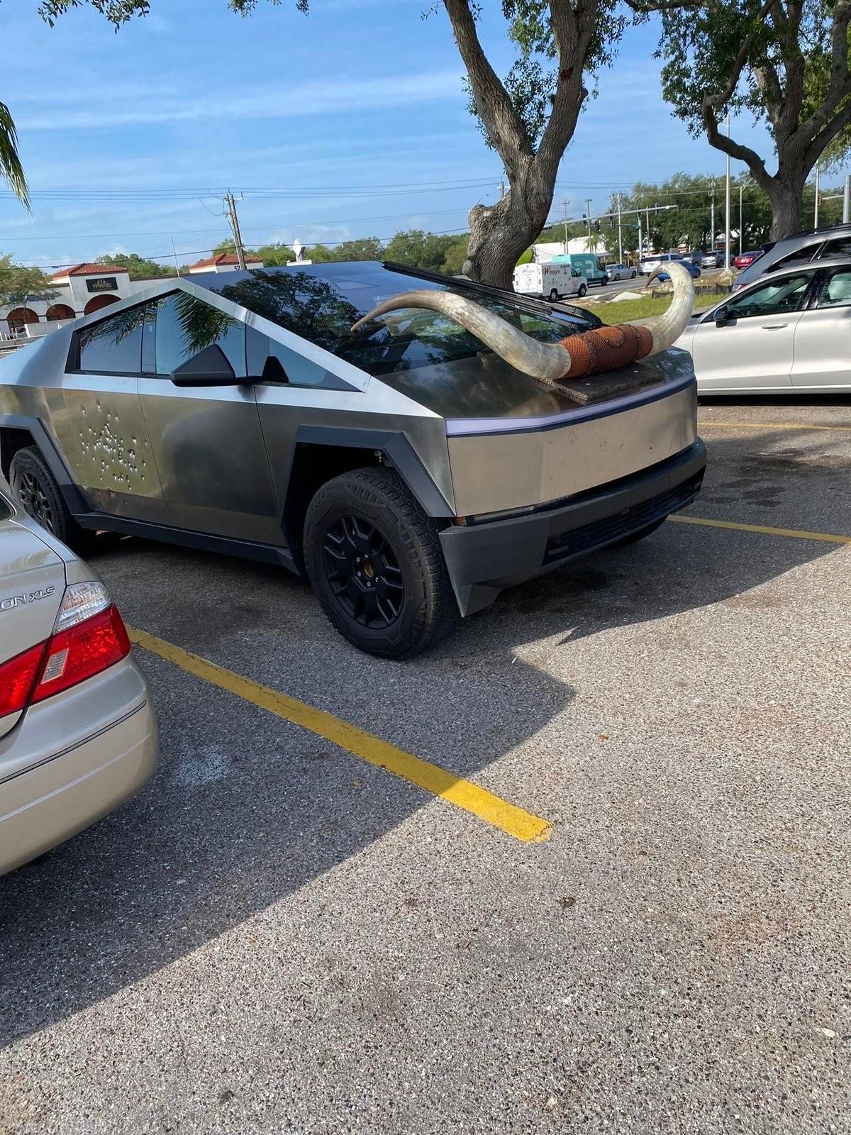 Is there anything more American | MLTSHP