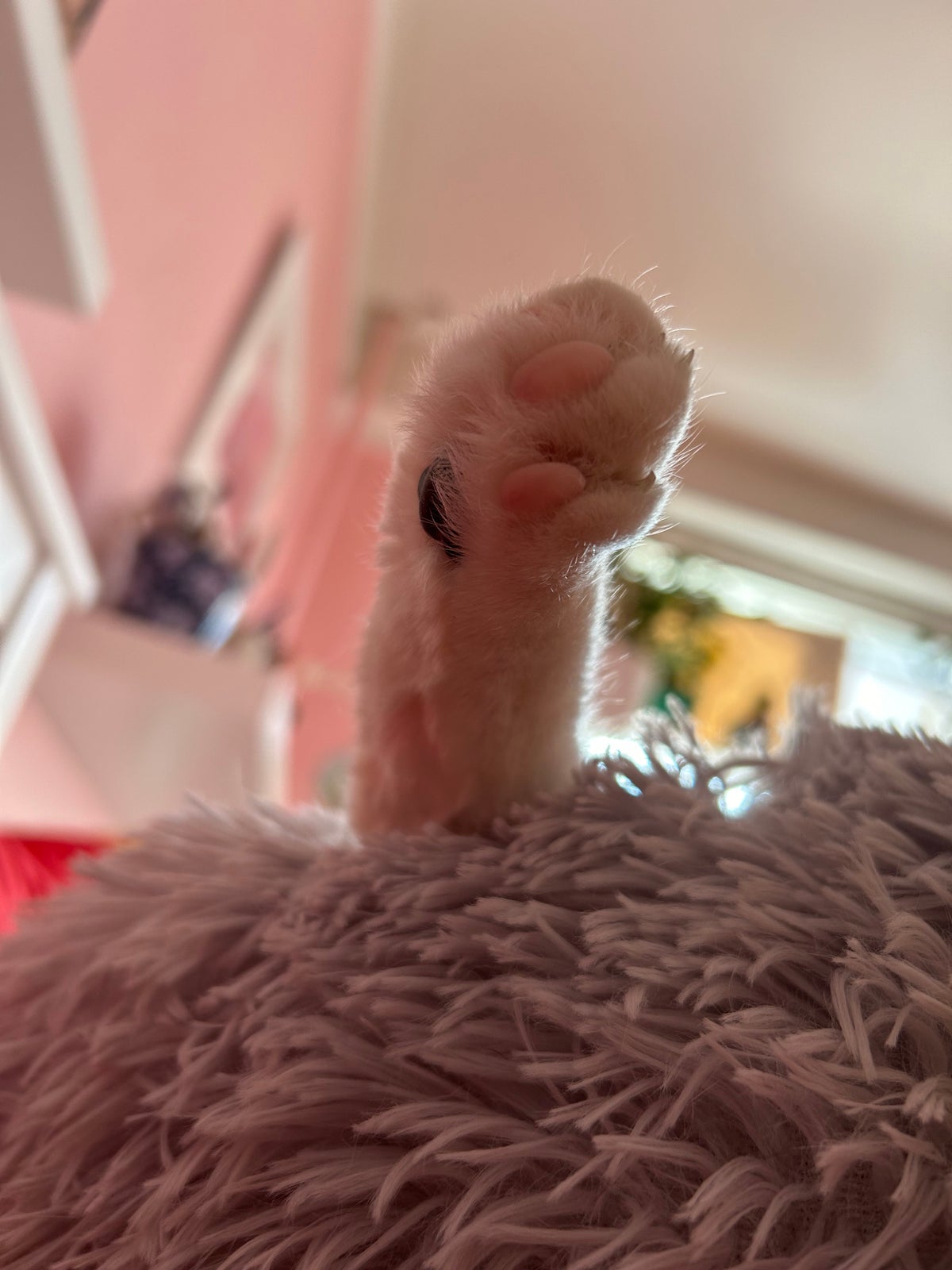 morning view | MLTSHP