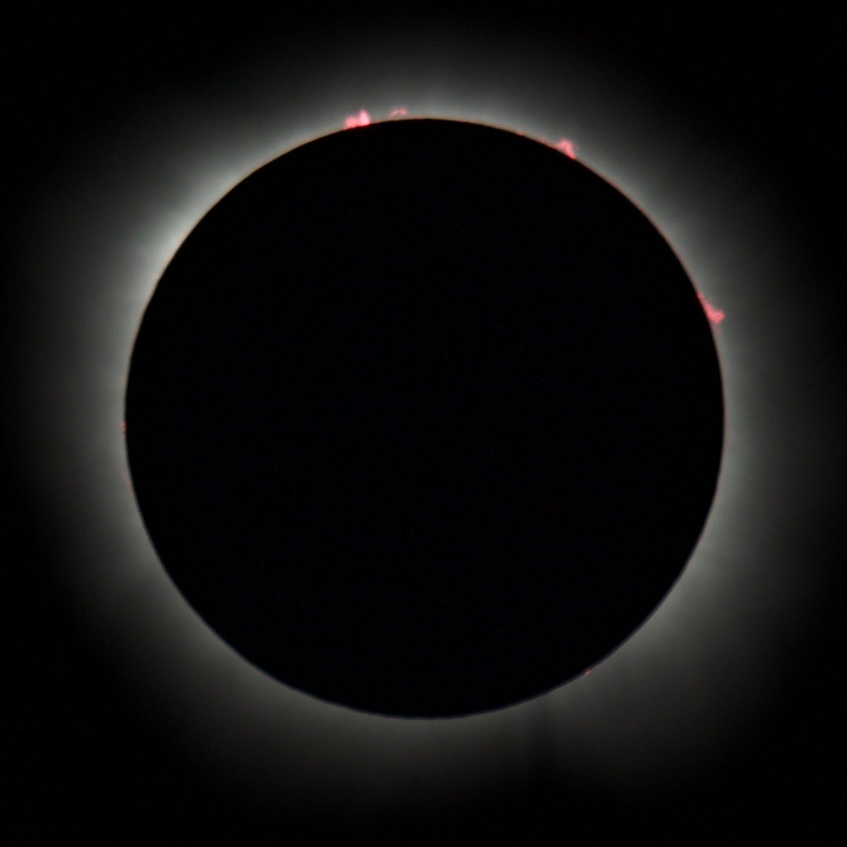 Eclipse 2024 | MLTSHP