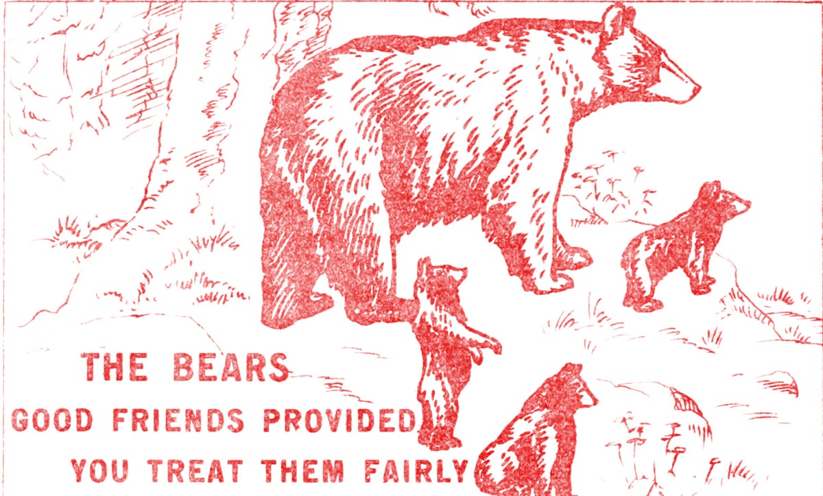 bear friends | MLTSHP