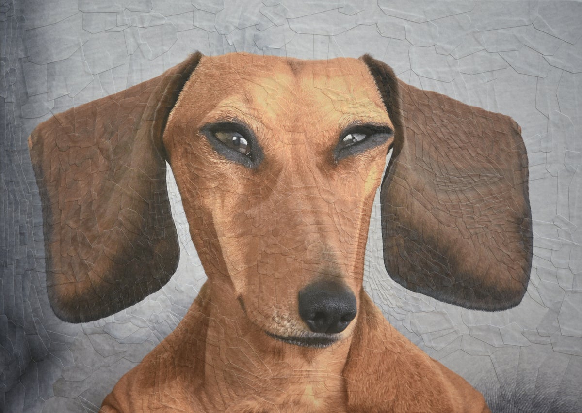 George the Sausage | MLTSHP